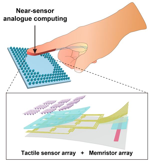 Ming Wang's Homepage